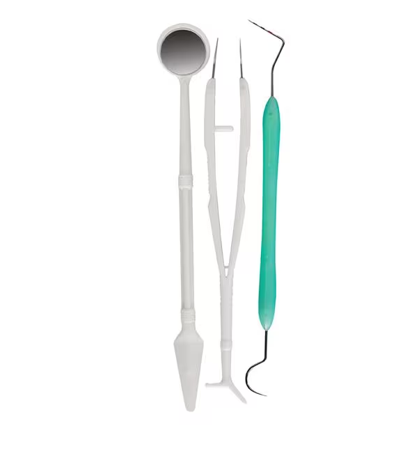 EXAM 4 Exam Set-Up Bundle